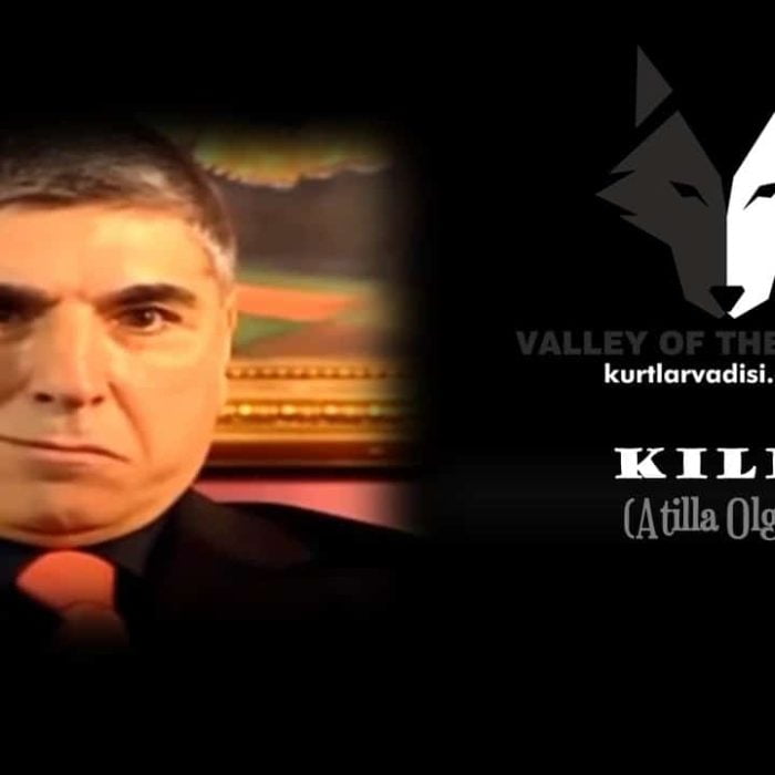 CAST - Kurtlar Vadisi