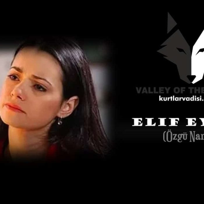 CAST - Kurtlar Vadisi